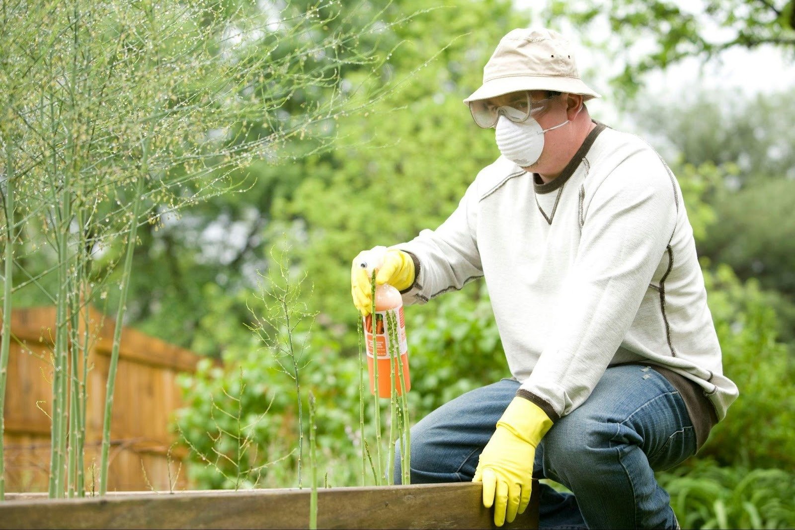 Commercial Pest Control: What Every Property Owner Should Know